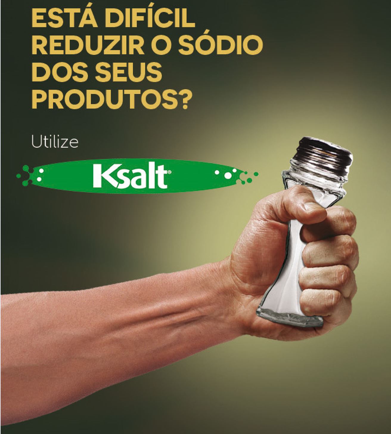 Nutrionix - Vantagens de escolher o Ksalt® para o seu projeto de ...